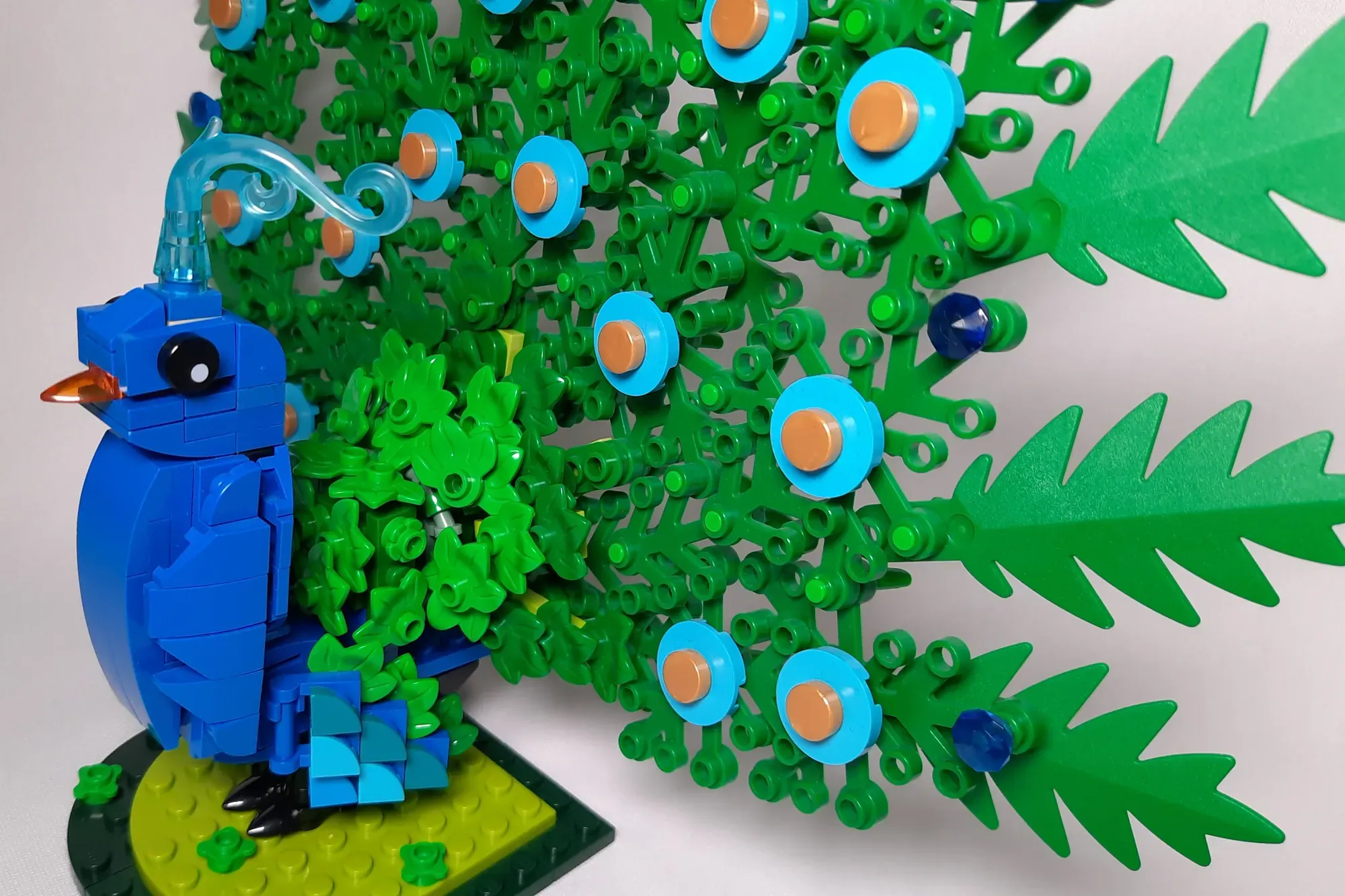 Peacock | LEGO® Ideas