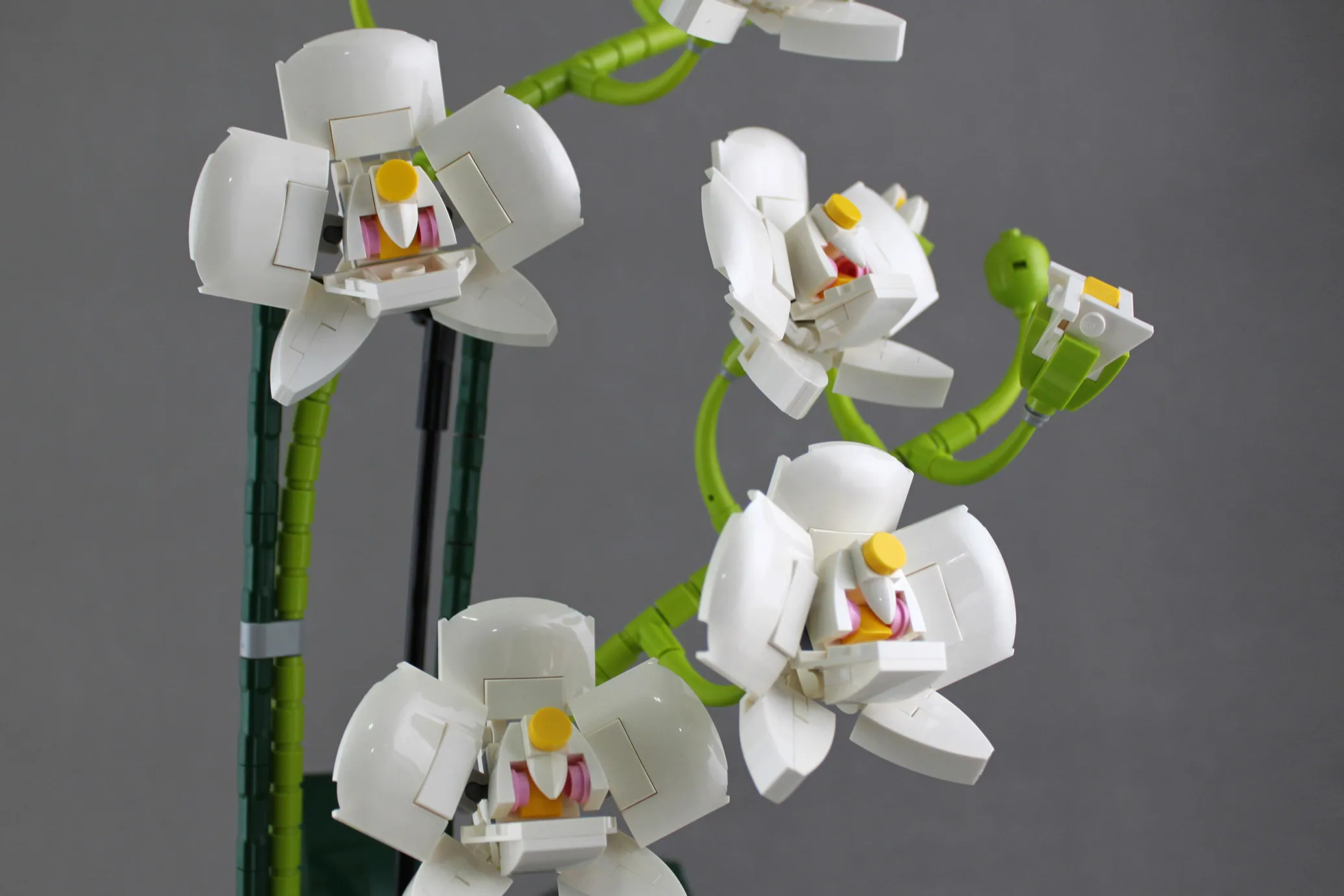 Orchid | LEGO® Ideas