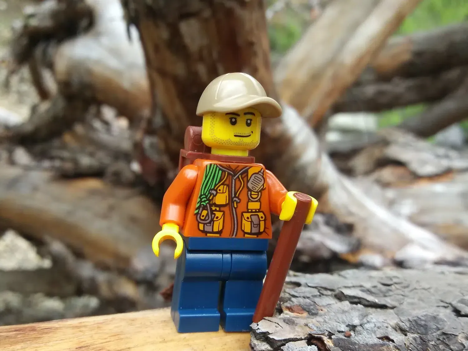 Nature: A Hike Through the Woods! | LEGO® Ideas