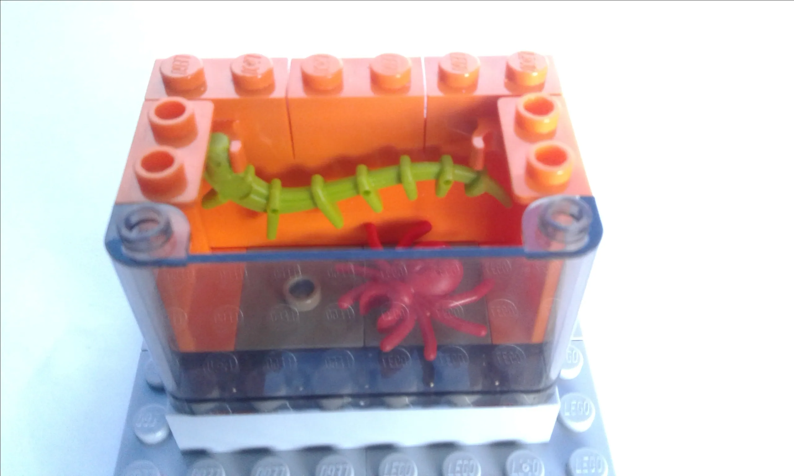 Creepy Crawler Enclosure | LEGO® Ideas