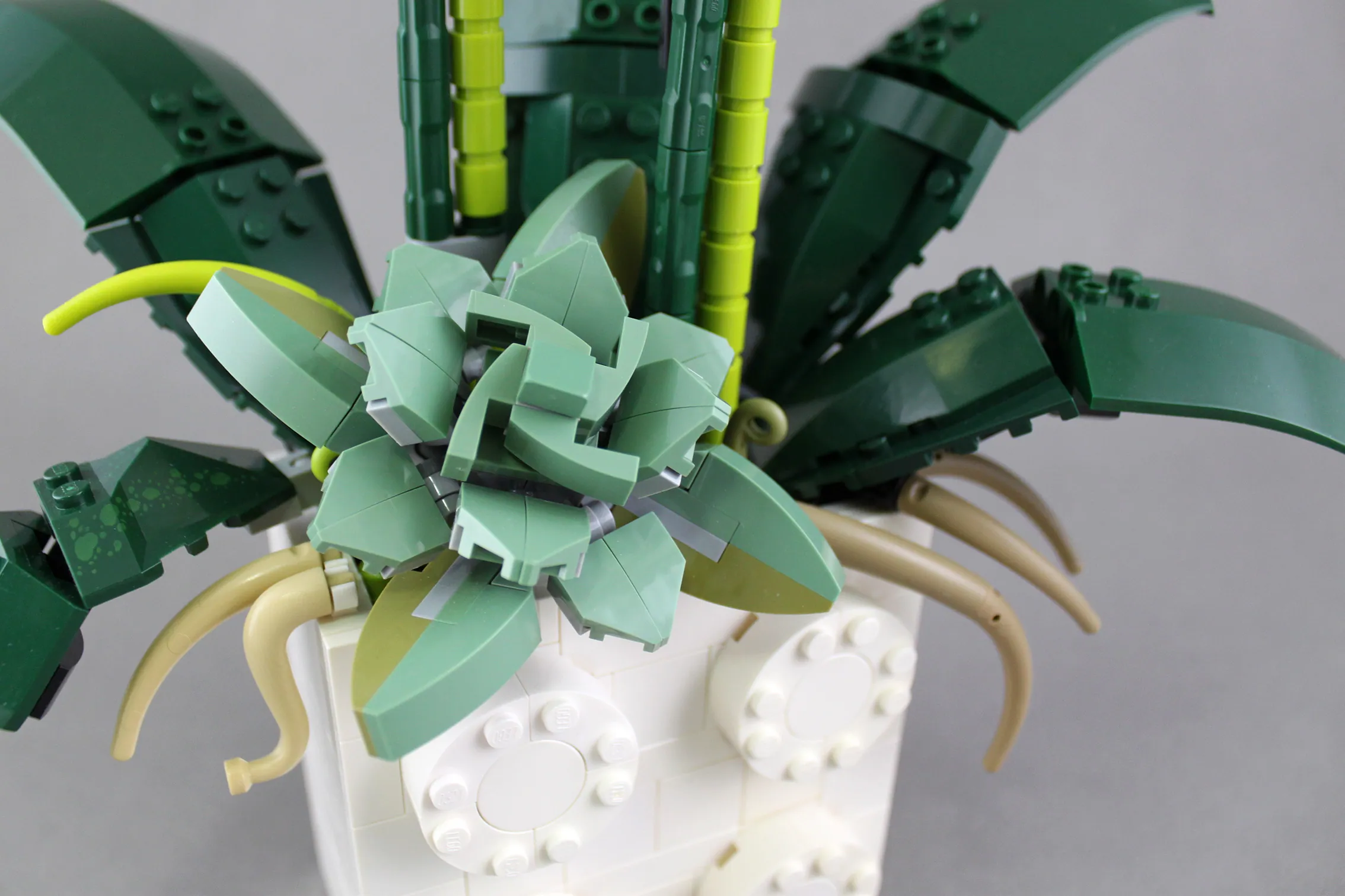 Orchid | LEGO® Ideas