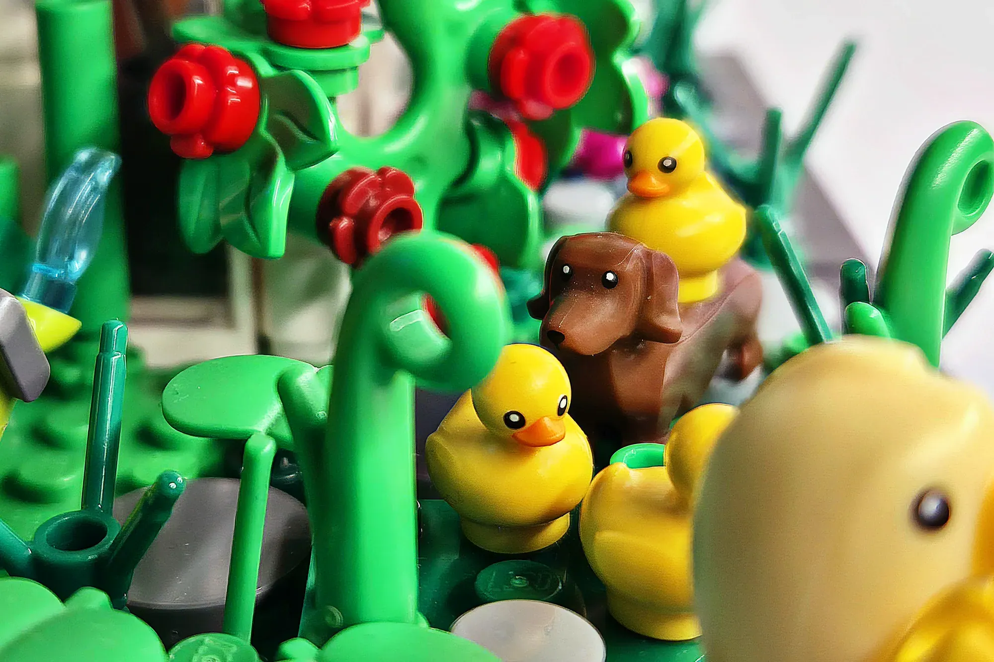 Garden Paradise | LEGO® Ideas