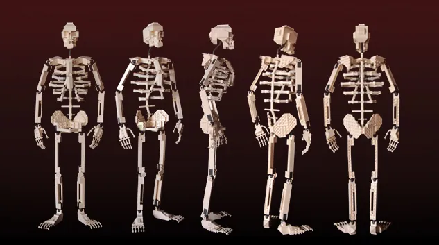 Posable 22" Skeleton | LEGO® Ideas
