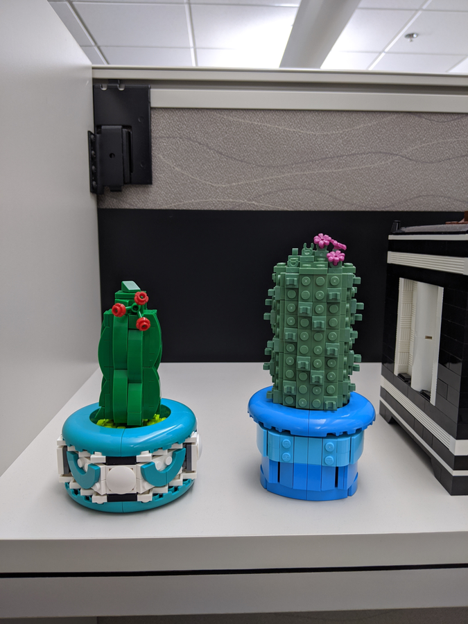 LEGO IDEAS - Cactus Project