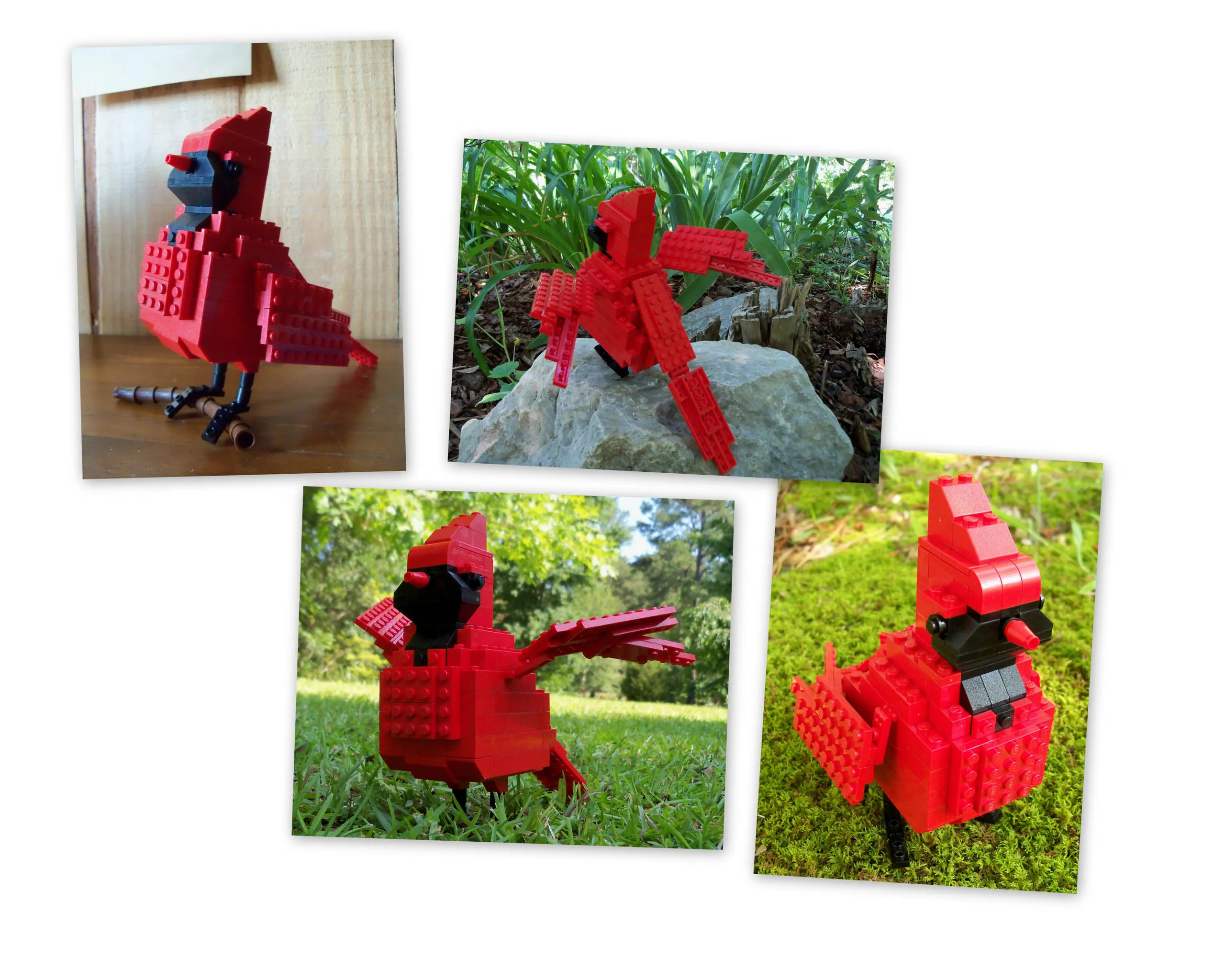 Northern Cardinal | LEGO® Ideas