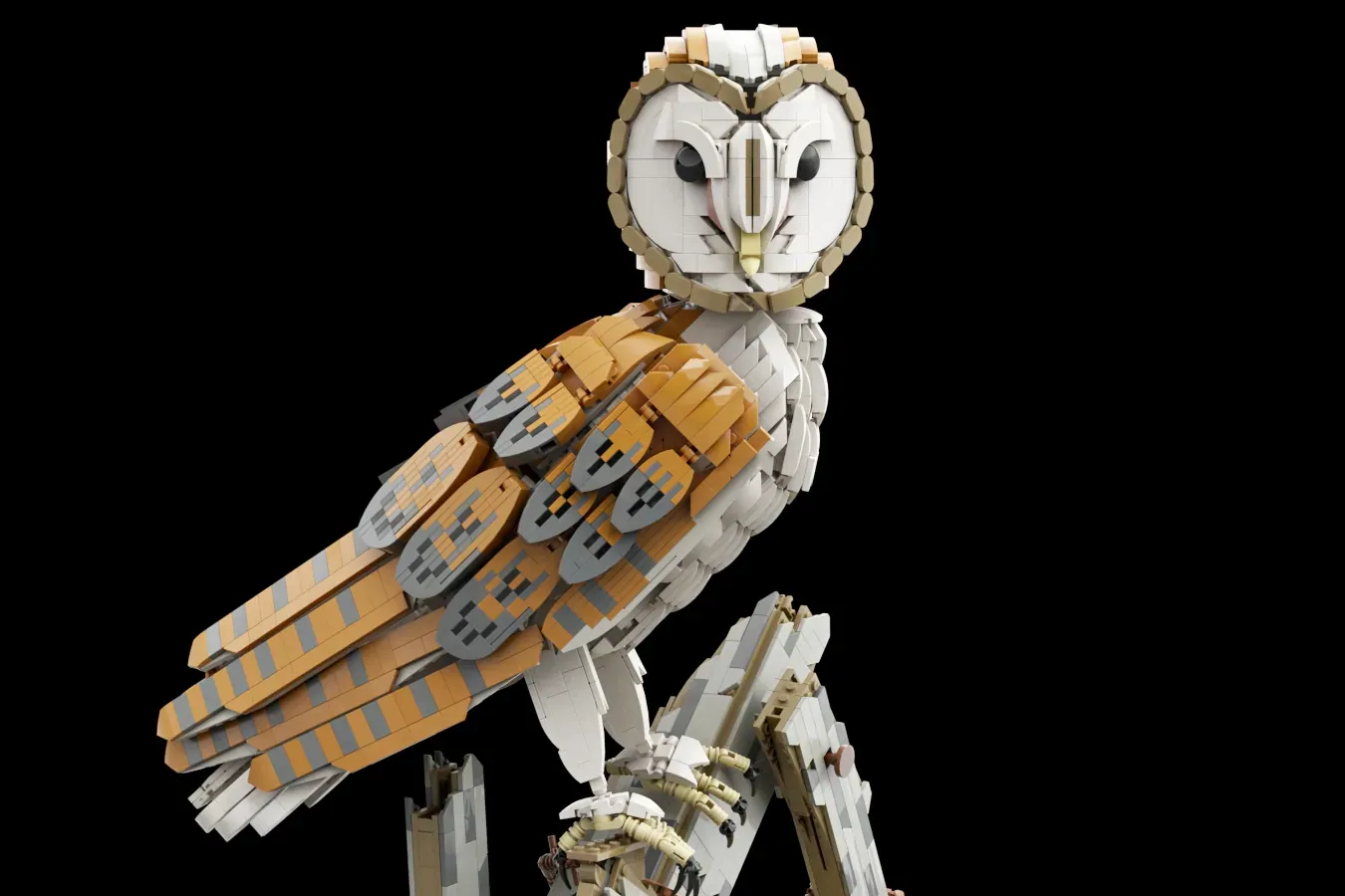 Barn Owl - Wildlife Crossing | LEGO® Ideas