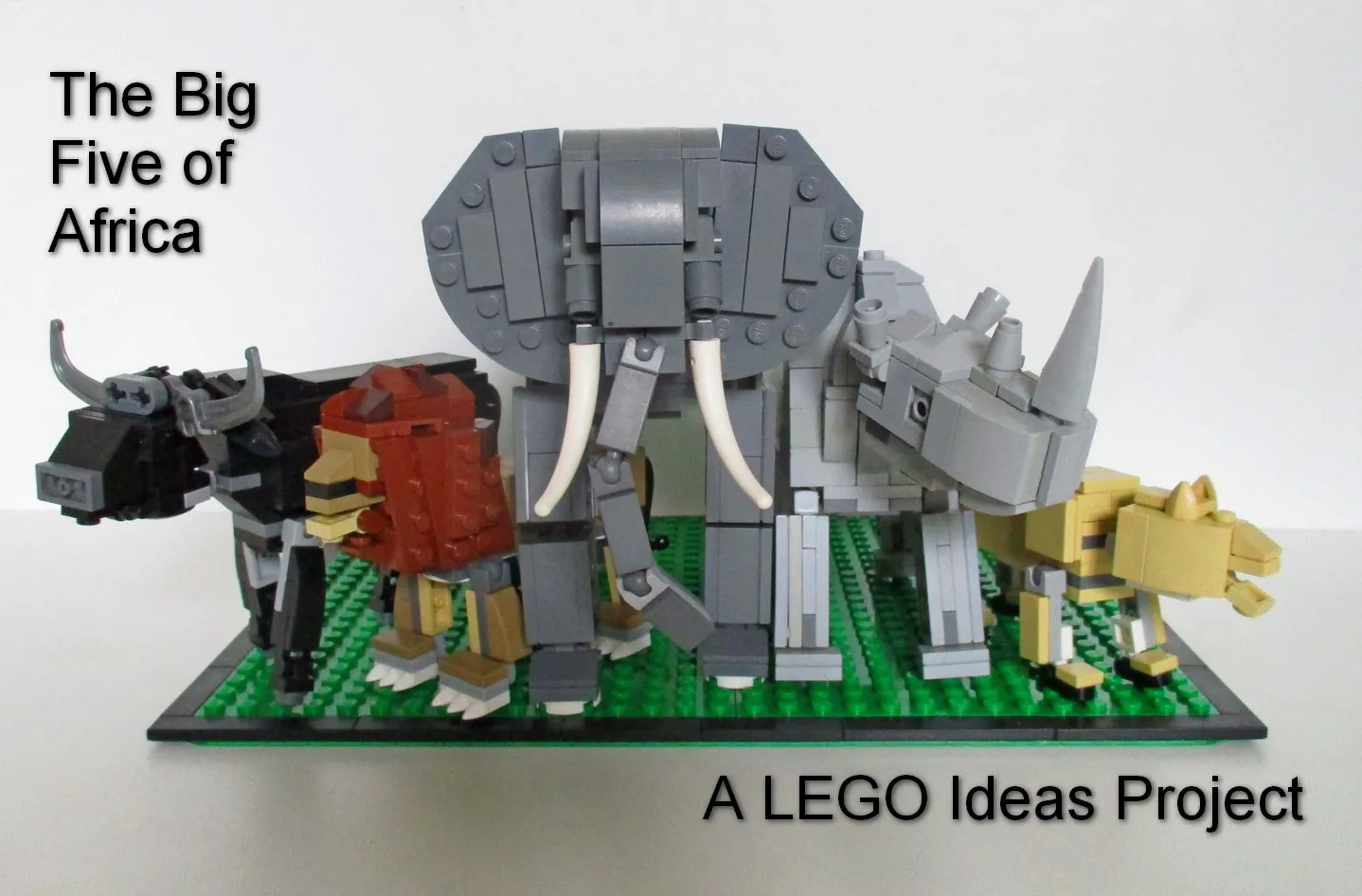 The Big Five of Africa | LEGO® Ideas