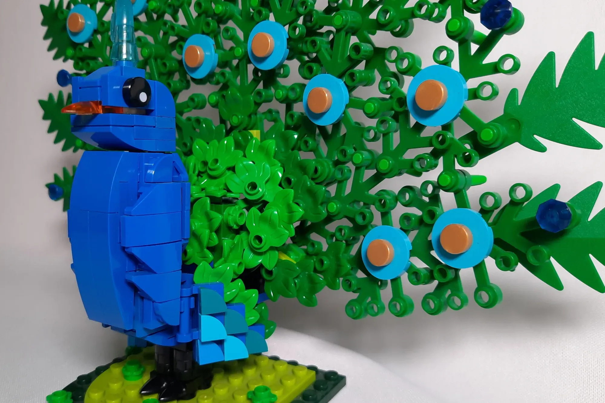 Peacock | LEGO® Ideas