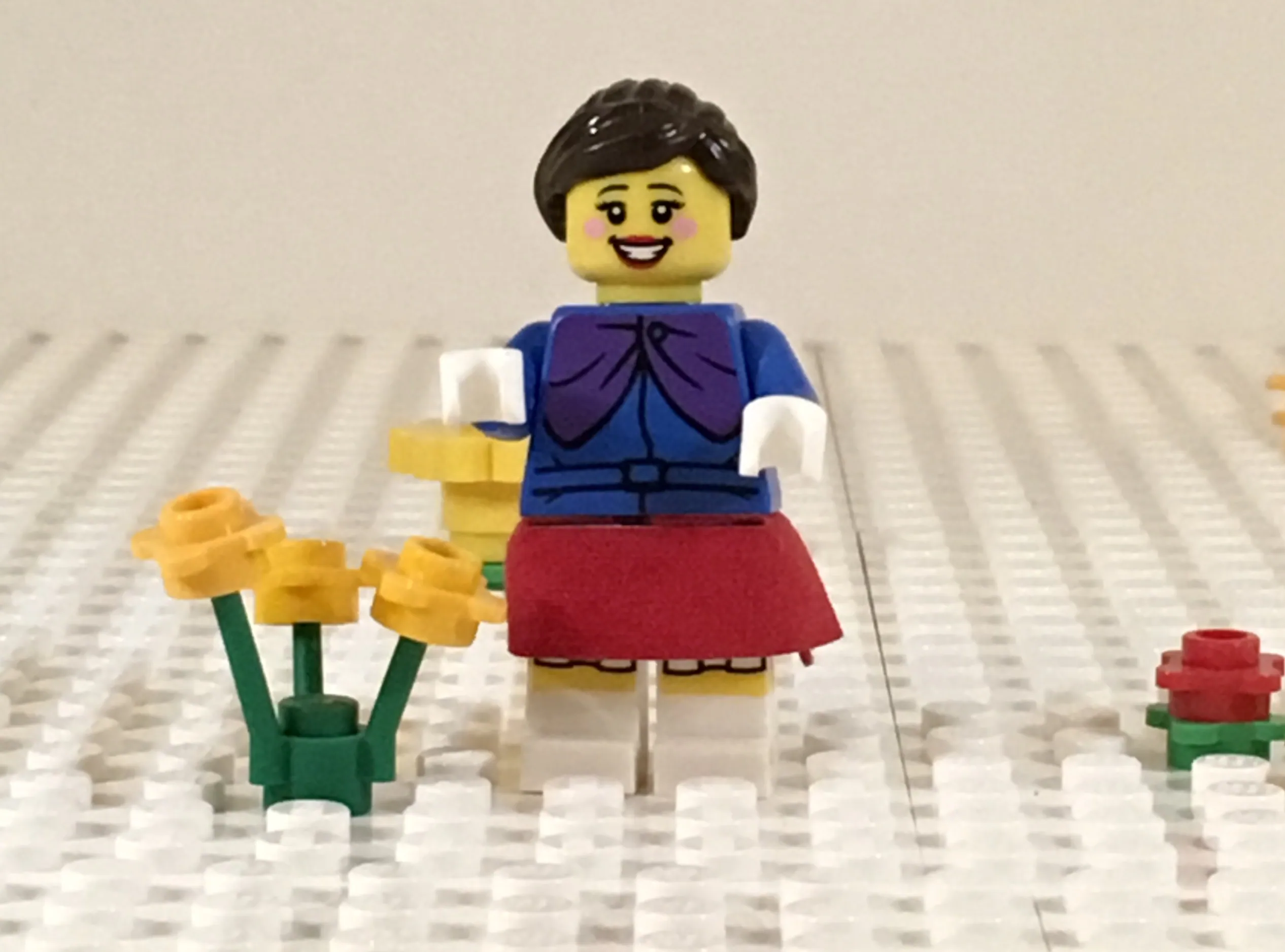 The Magic Roundabout. | LEGO® Ideas