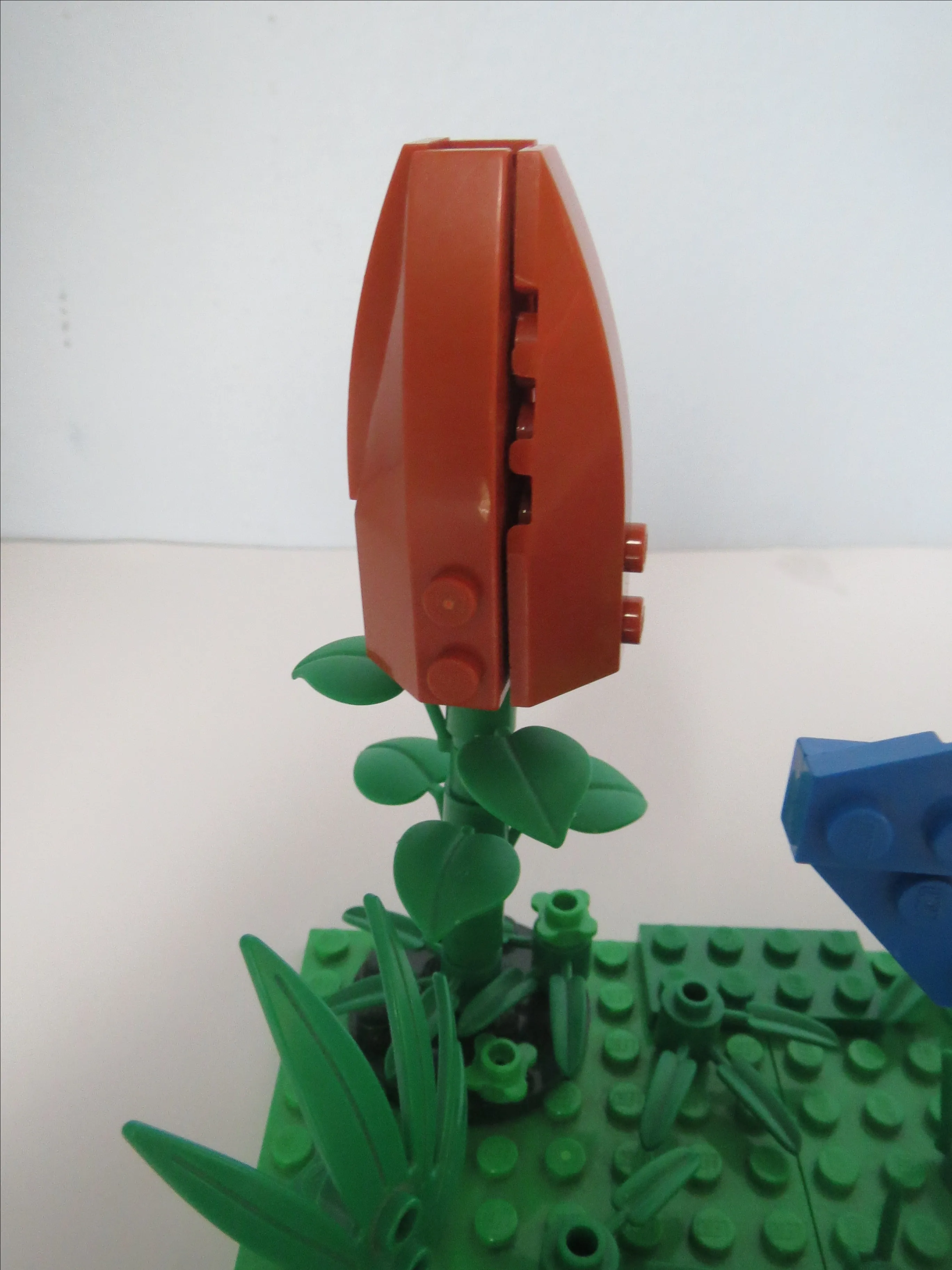 Tiago from Rio 2 | LEGO® Ideas
