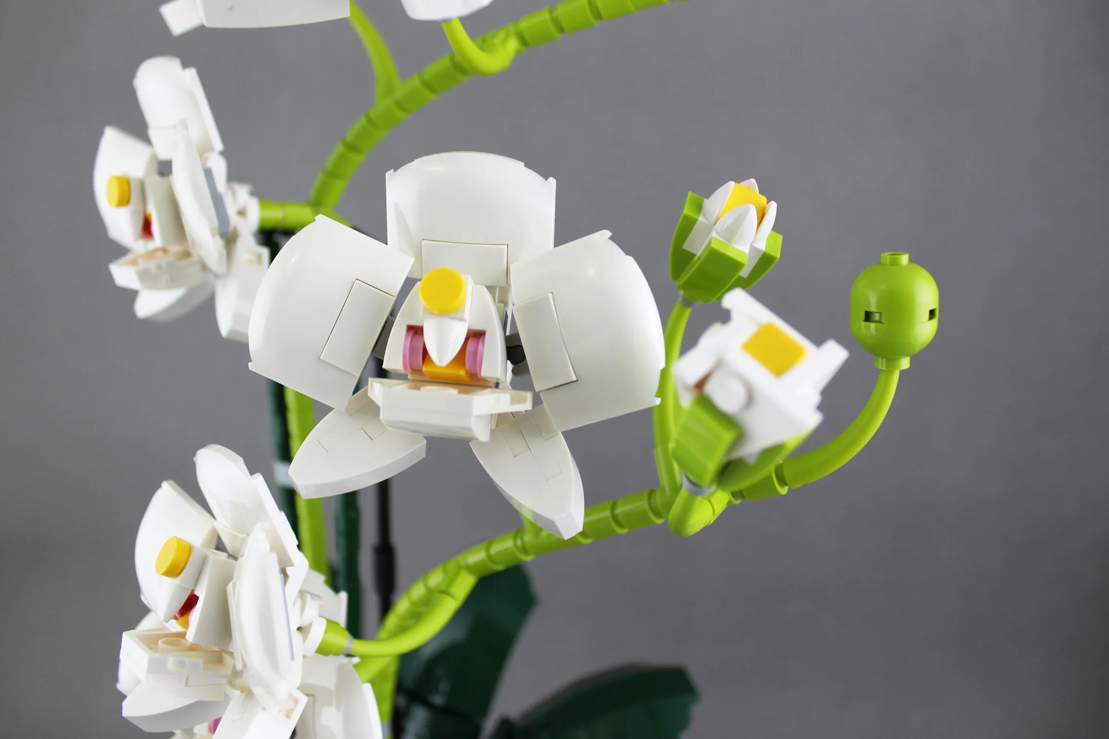 Orchid | LEGO® Ideas