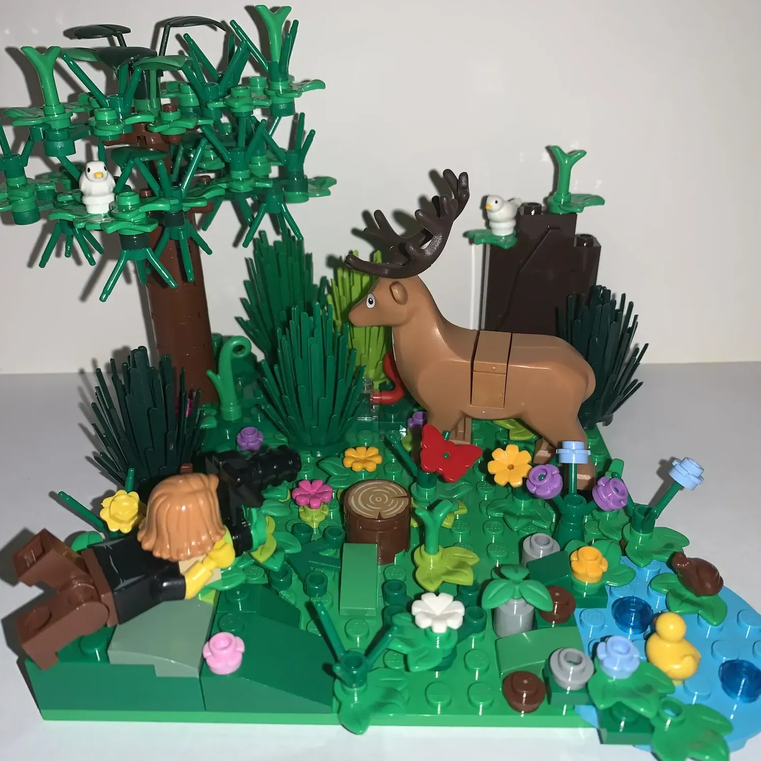 Capturing the Beauty of Nature | LEGO® Ideas