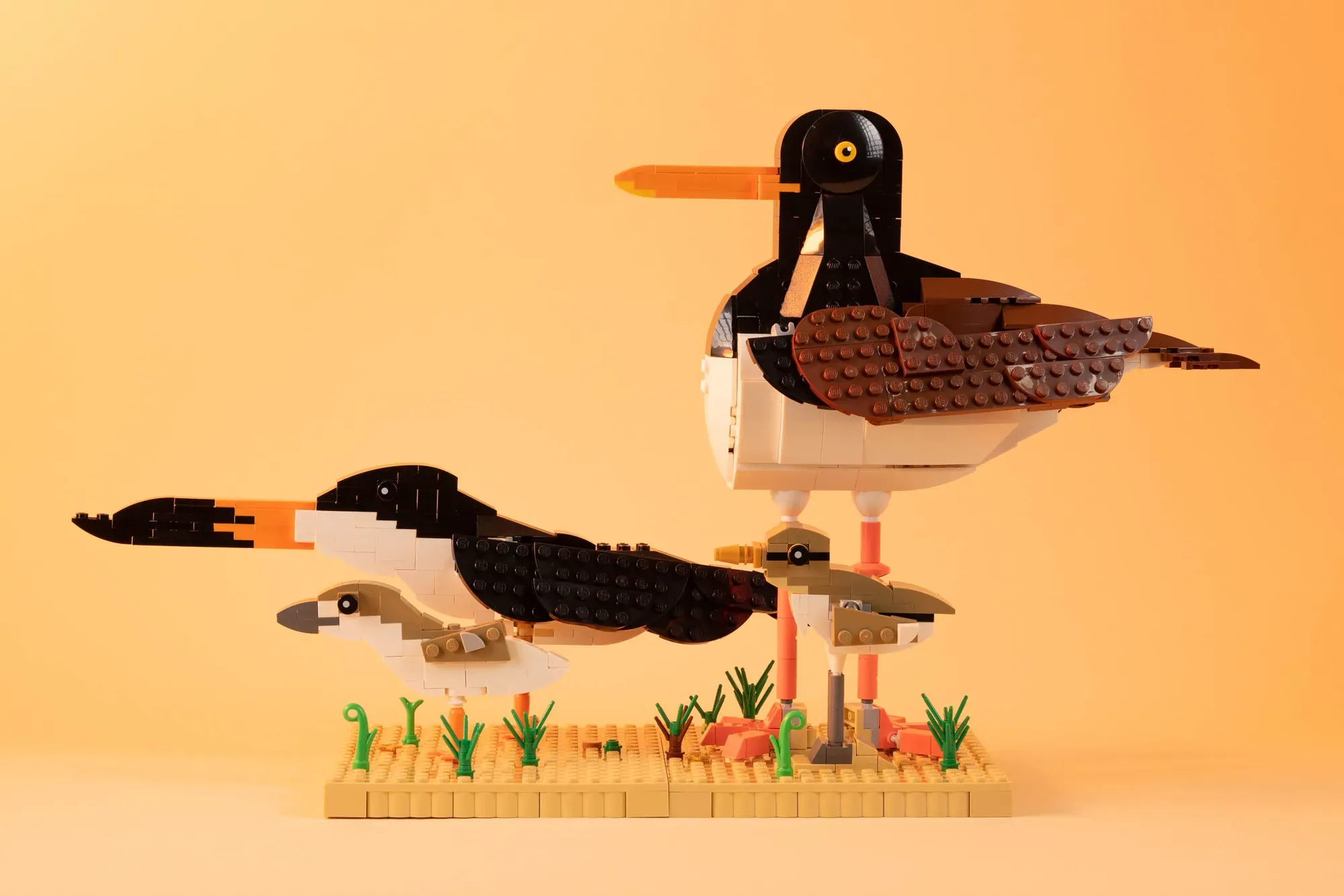 Shorebird Collection | LEGO® Ideas