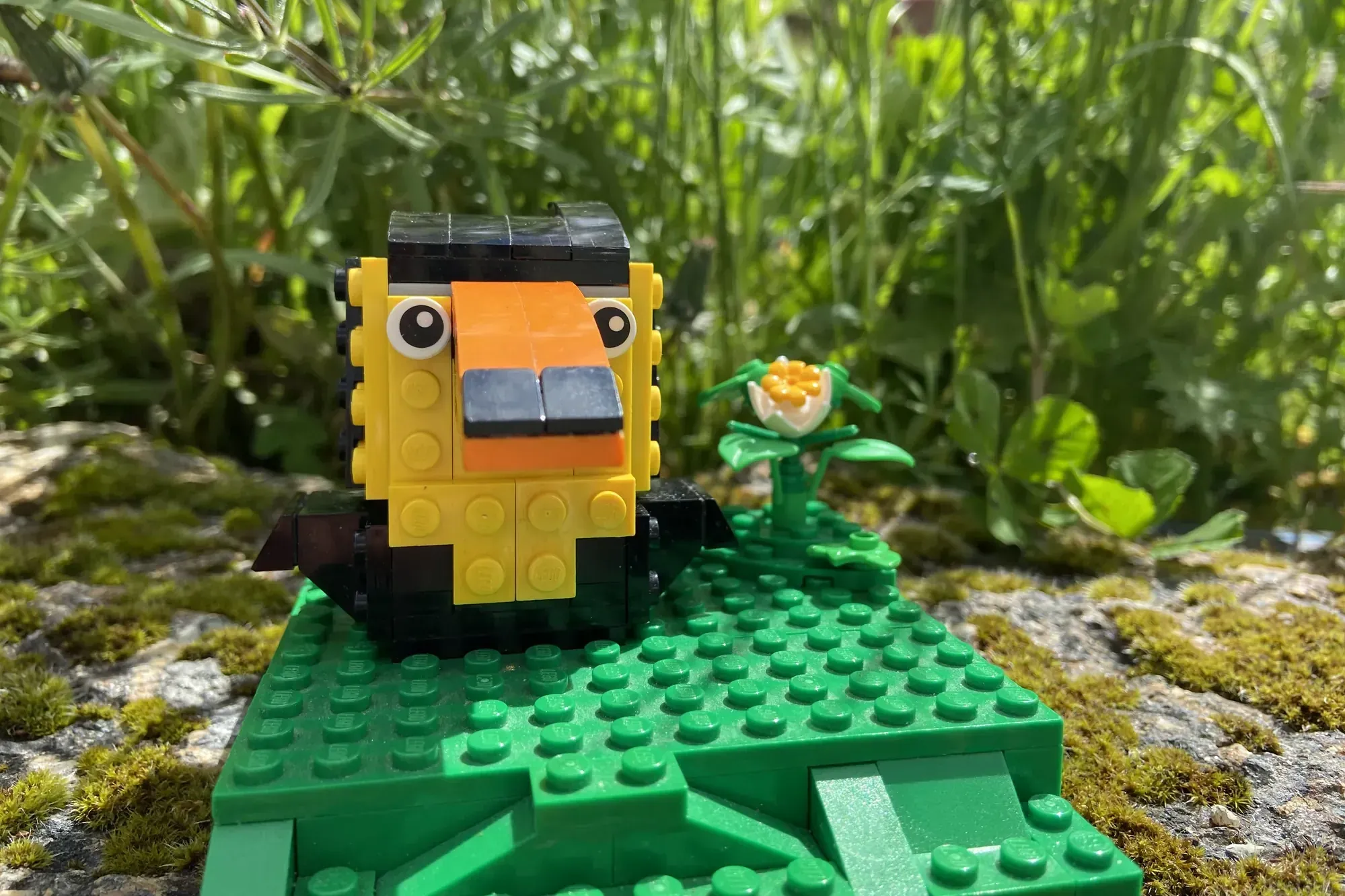 One Can Play Toucan | LEGO® Ideas