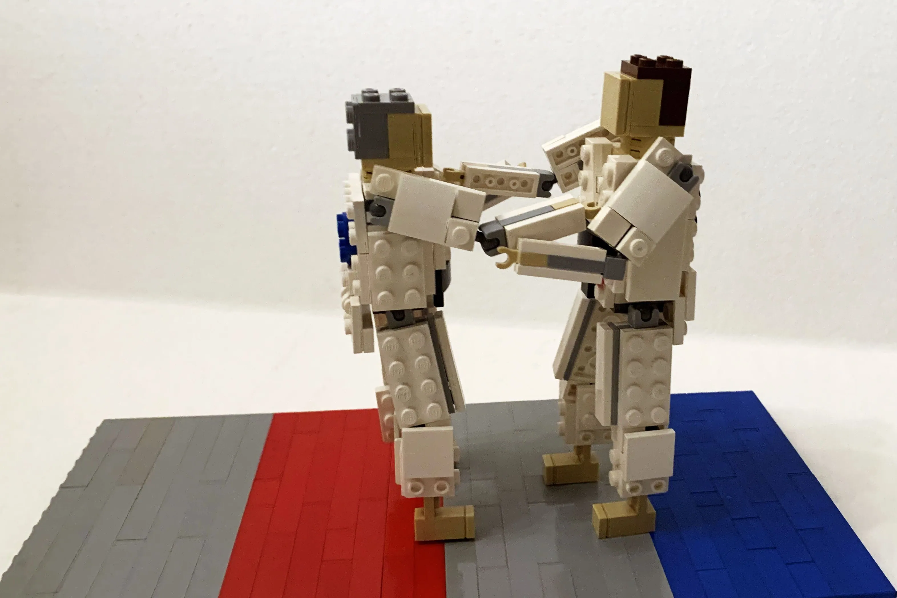 Jiu Jitsu Champions | LEGO® Ideas