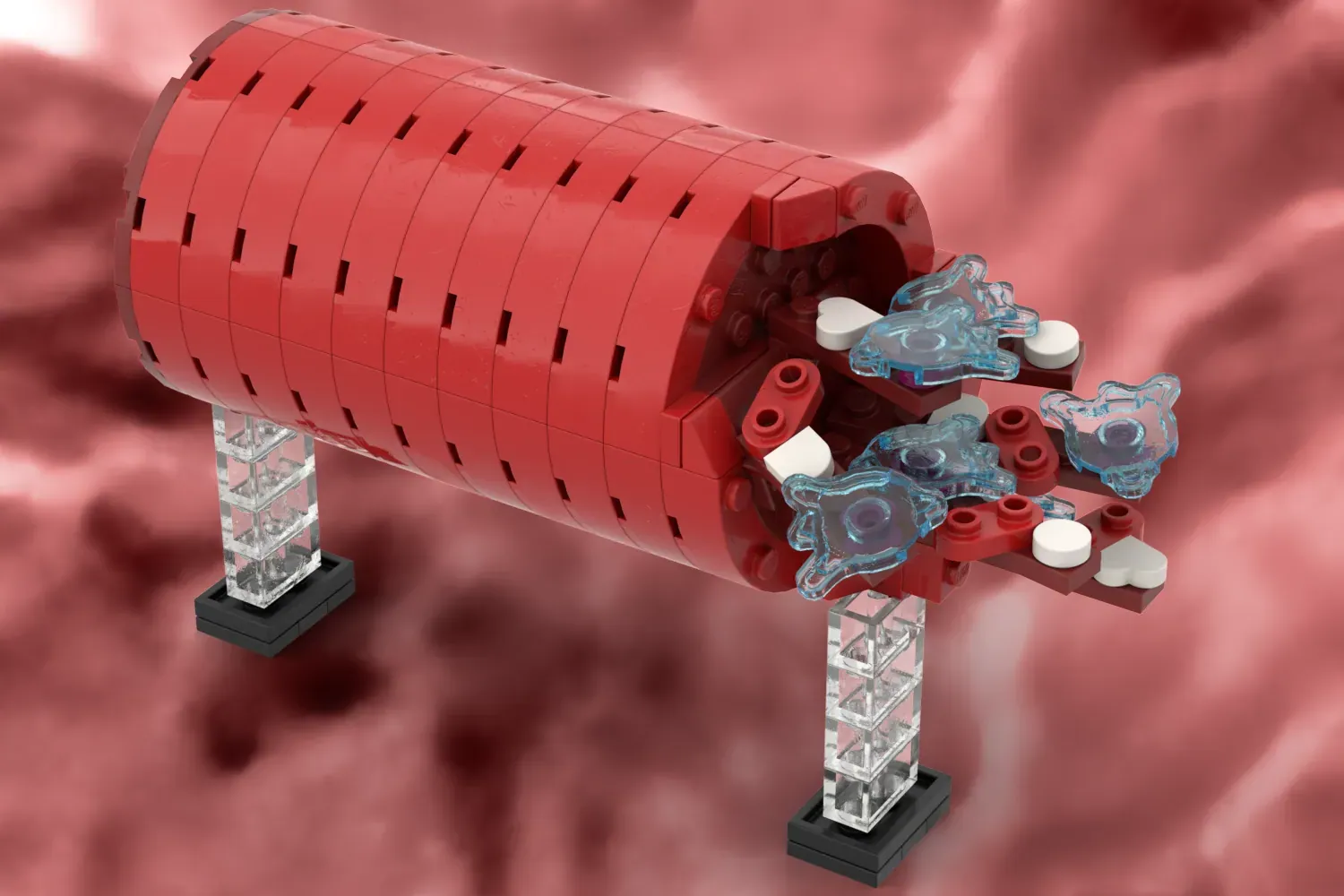 Blood Vessel: A Microscopic Journey | LEGO® Ideas