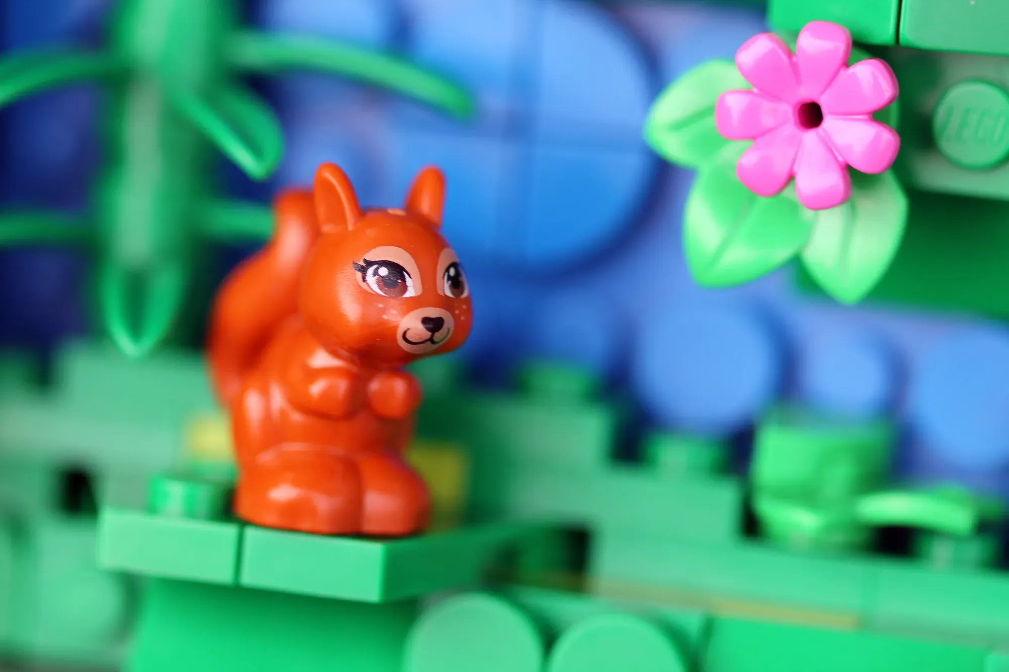 Little Squirrel Is Looking for a Home | LEGO® Ideas