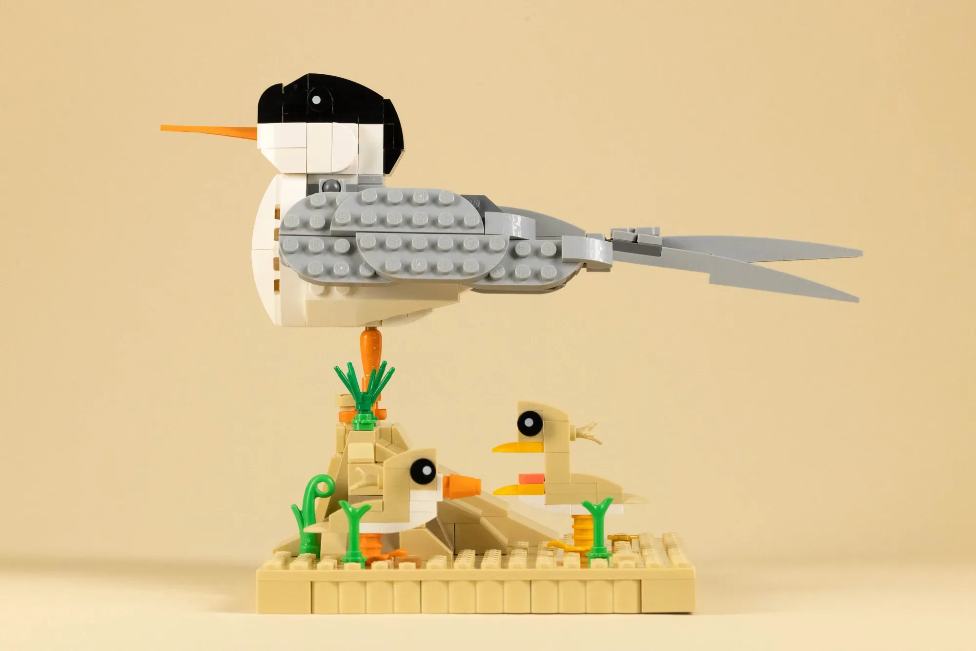 Shorebird Collection | LEGO® Ideas