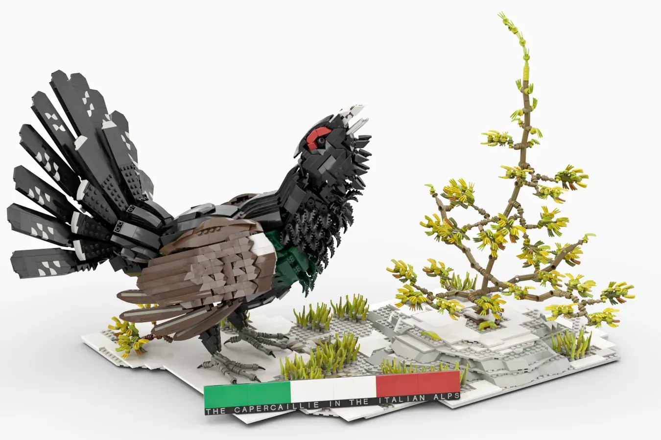 Western Capercaillie (Tetrao Urogallus) | LEGO® Ideas