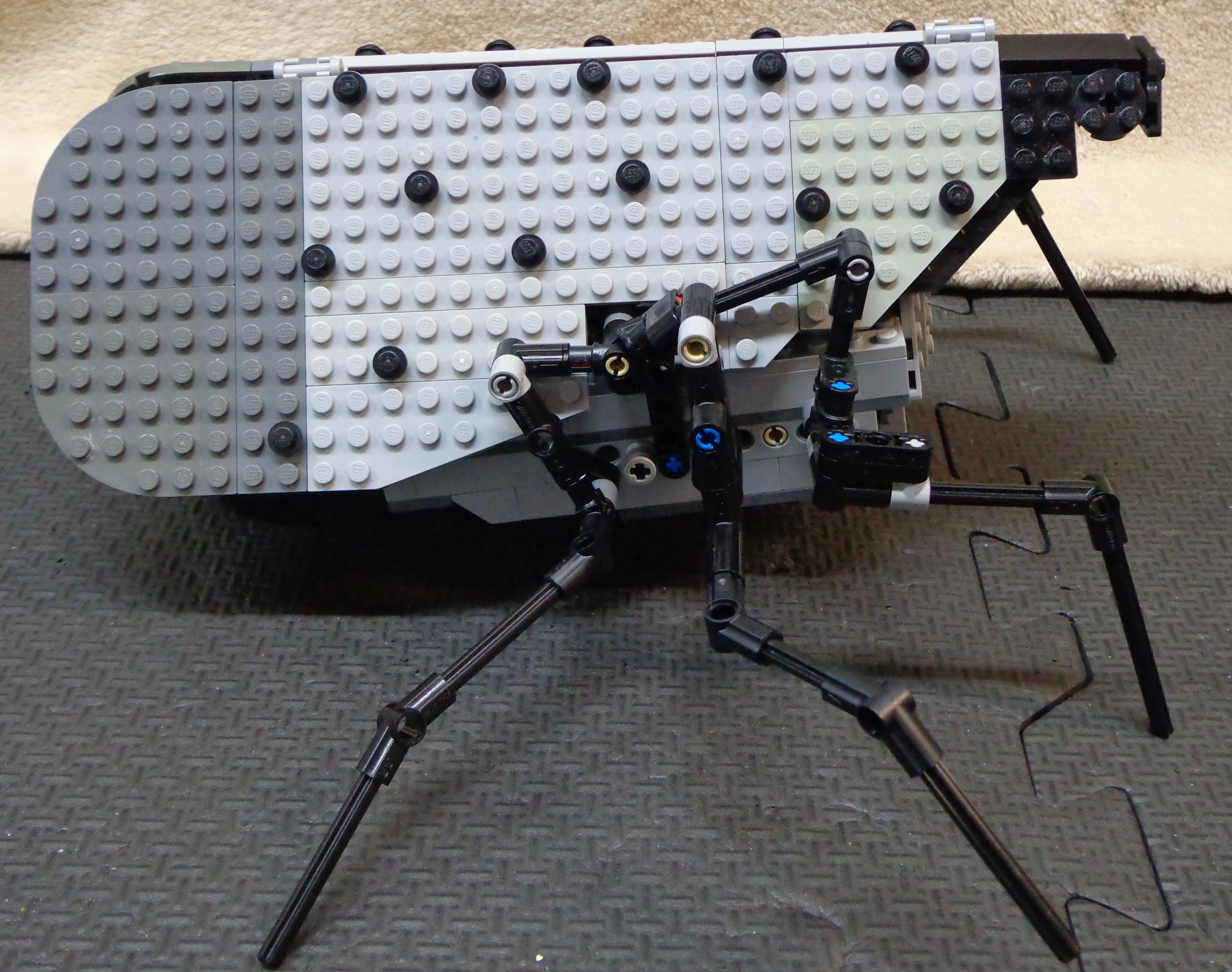 Spotted Lantern Fly | LEGO® Ideas