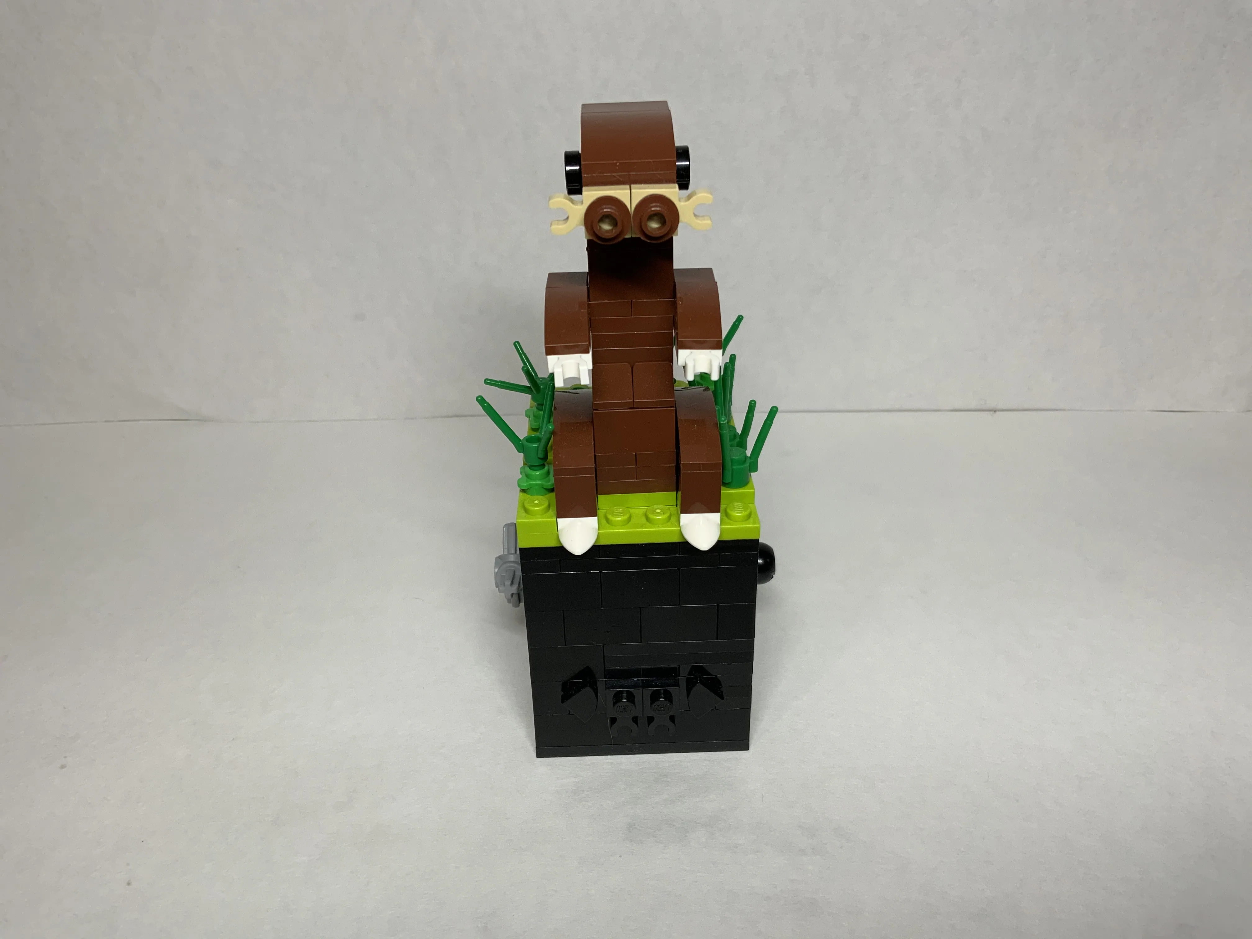 Star Nosed Mole | LEGO® Ideas