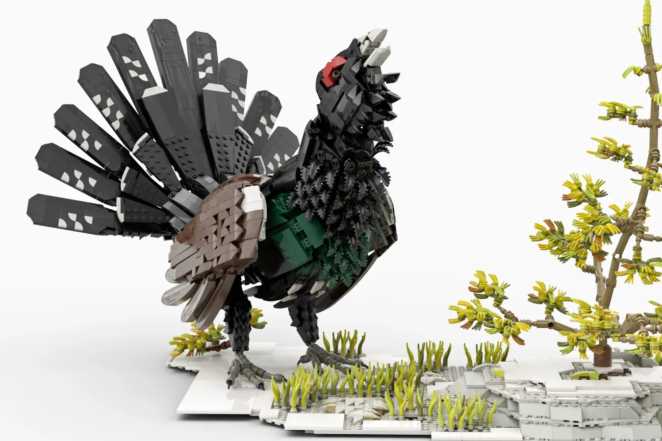 Western Capercaillie (Tetrao Urogallus) | LEGO® Ideas