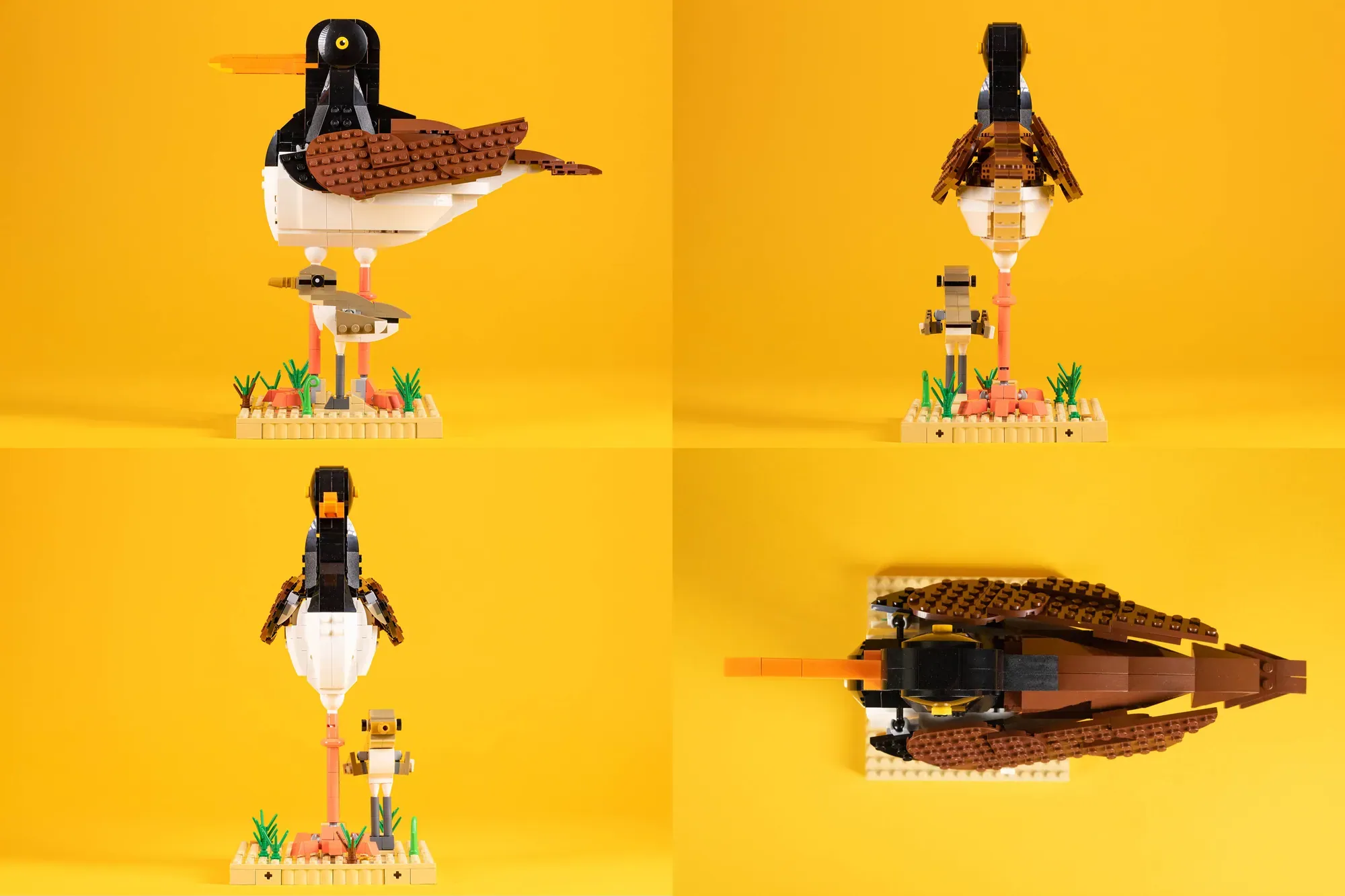 Shorebird Collection | LEGO® Ideas