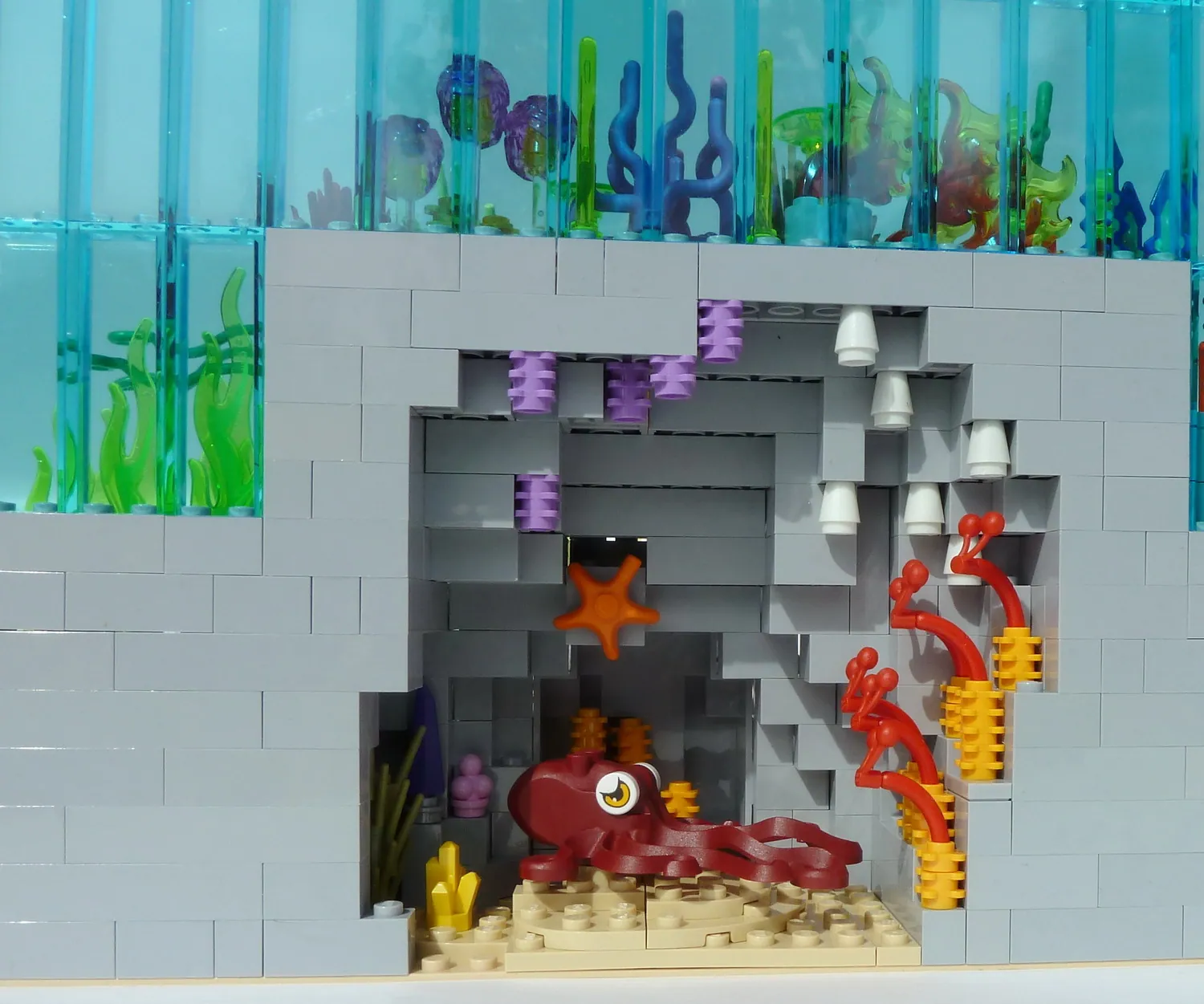 Clip-Clap - The Little Barrier Reef | LEGO® Ideas