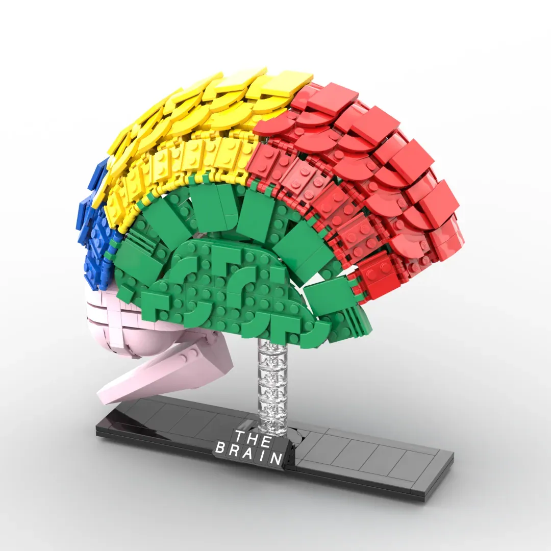 The Brain | LEGO® Ideas