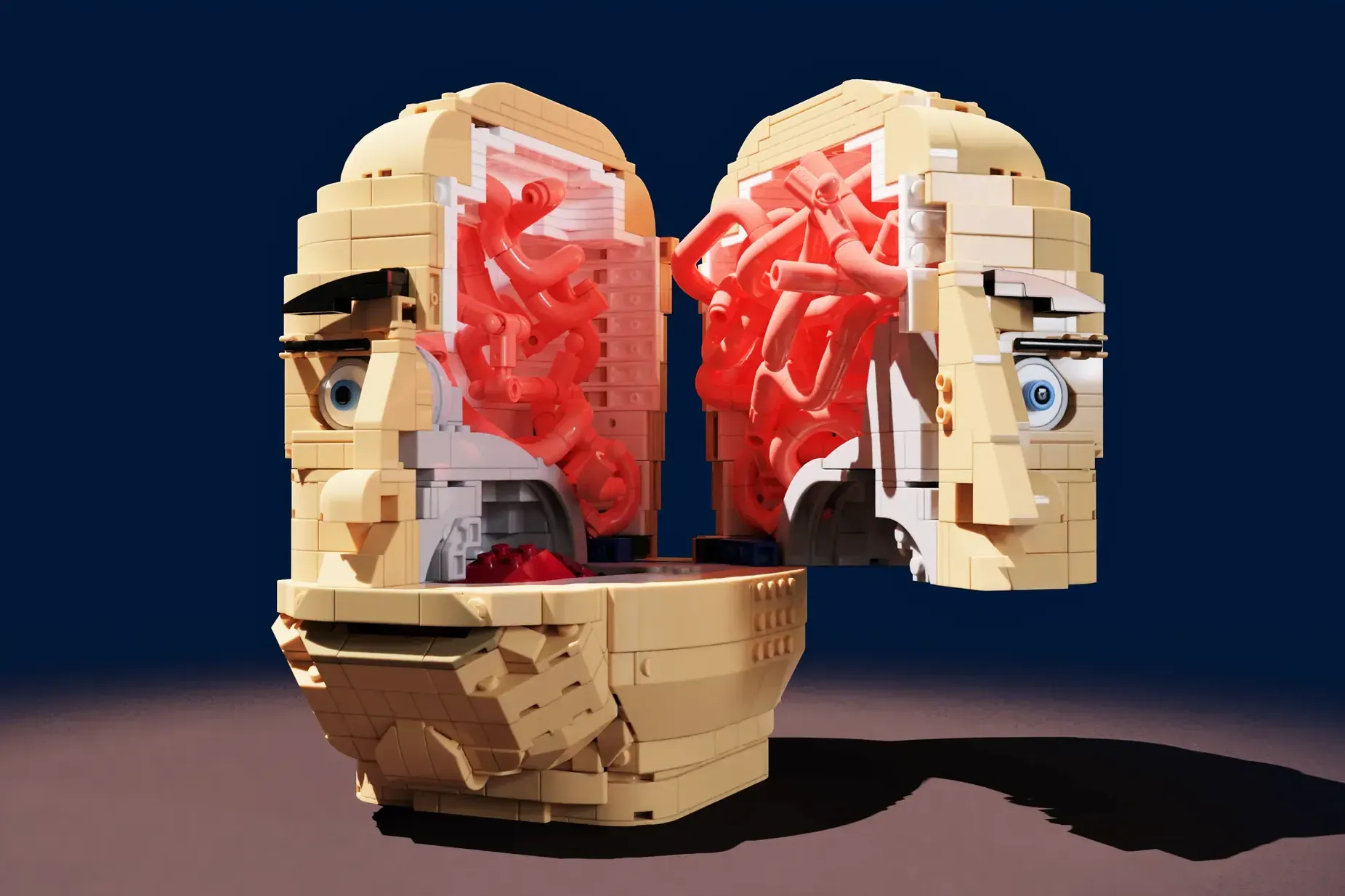 Anatomical Head Model | LEGO® Ideas