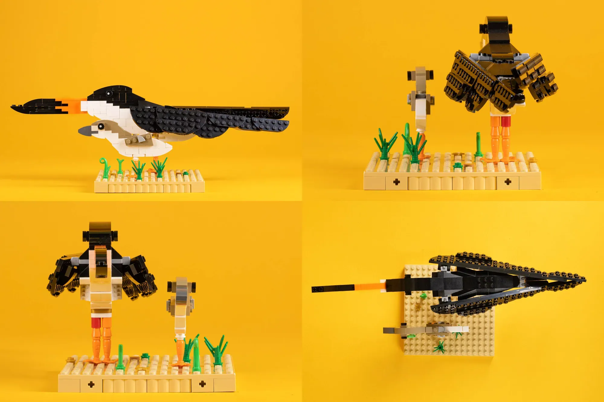 Shorebird Collection | LEGO® Ideas