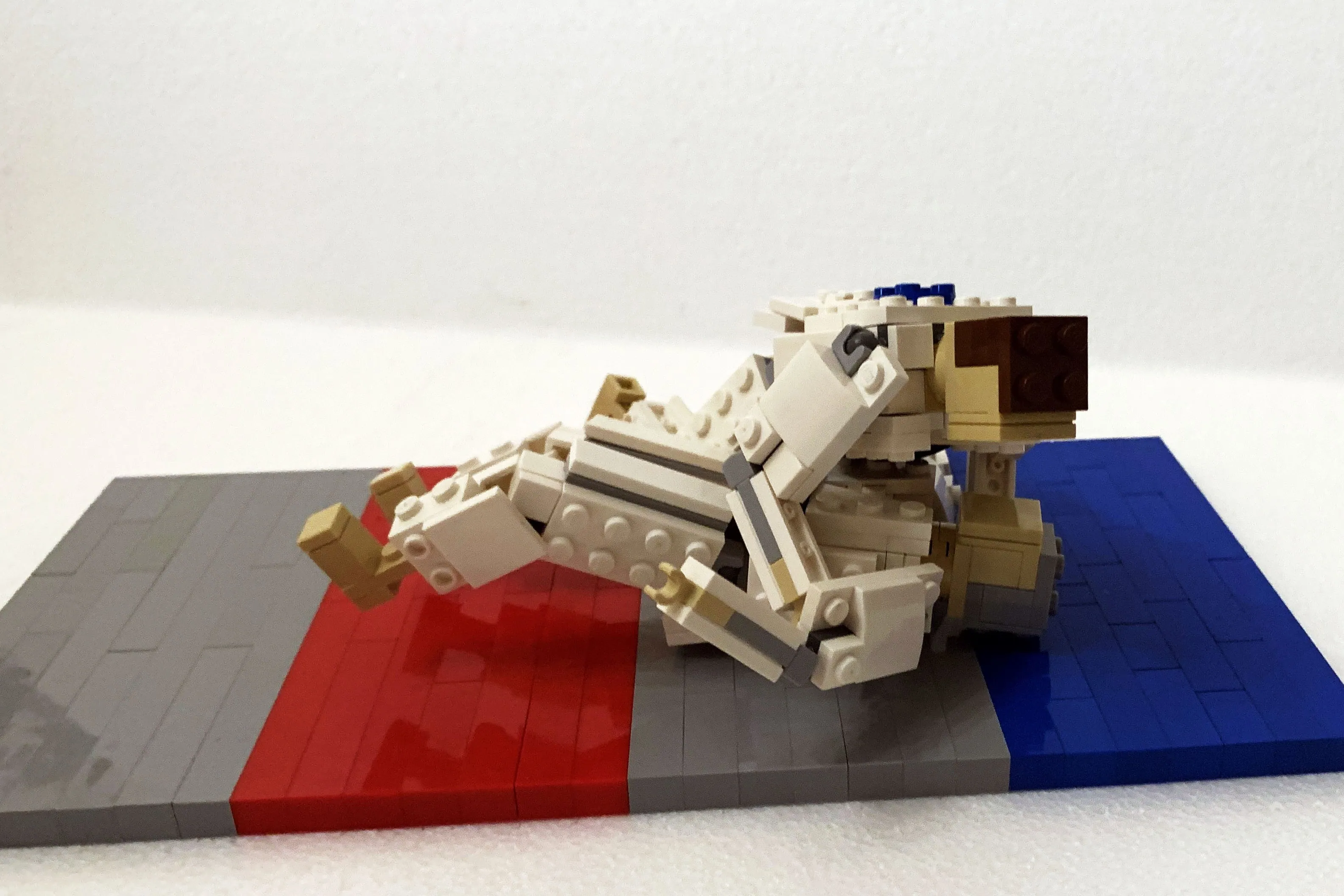 Jiu Jitsu Champions | LEGO® Ideas