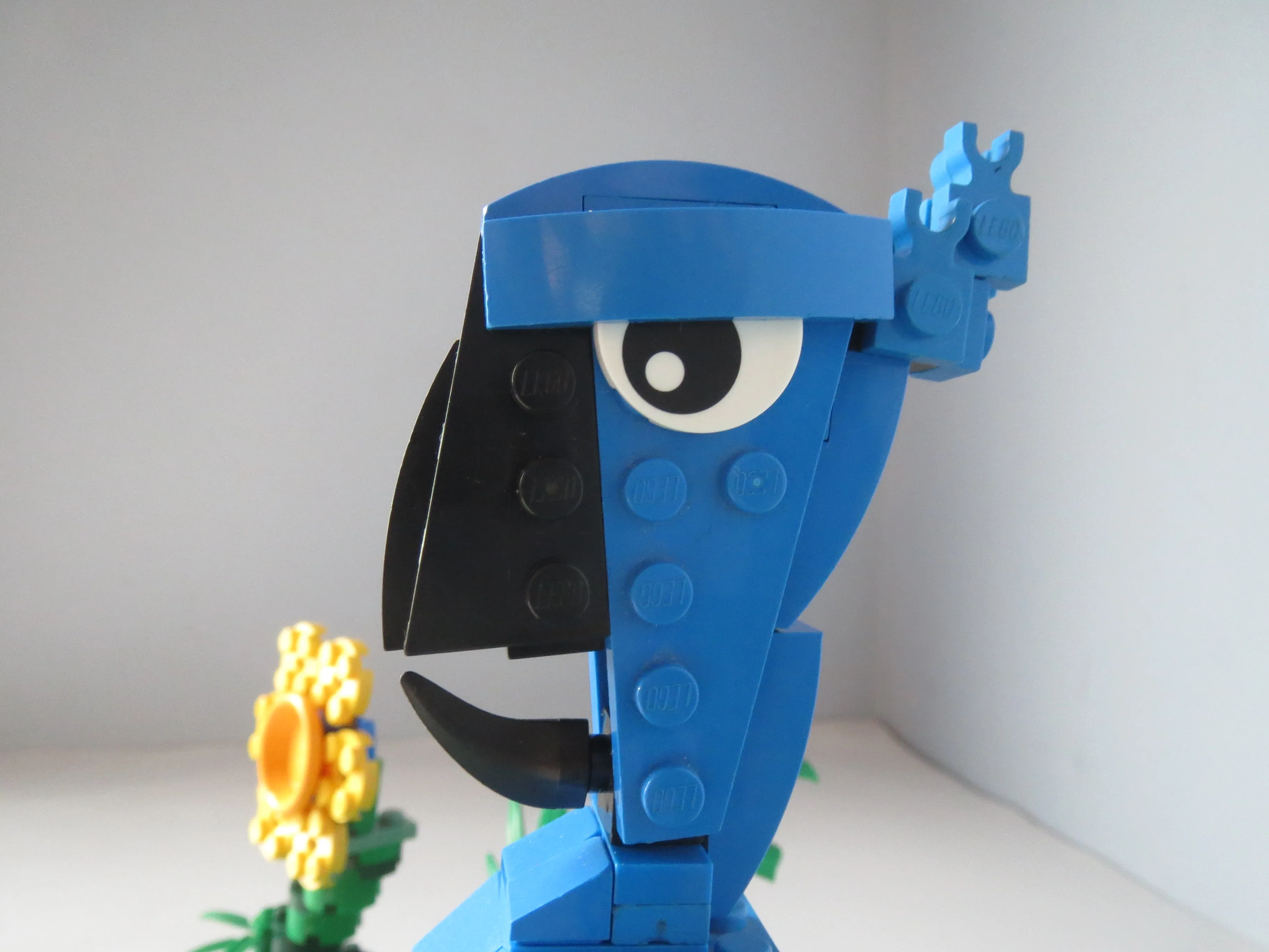 Tiago from Rio 2 | LEGO® Ideas